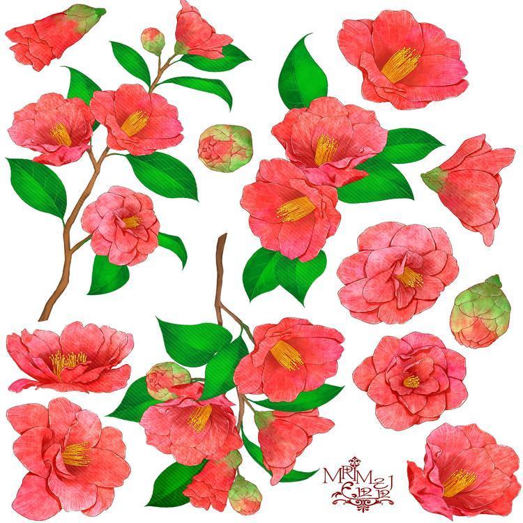 Red camellia flower sticker | Webudding