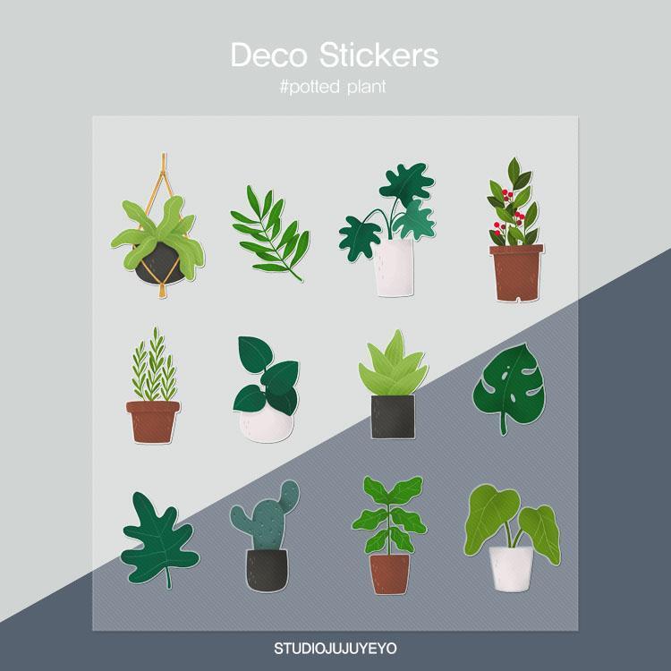 WeBudding | Where your great journey begins