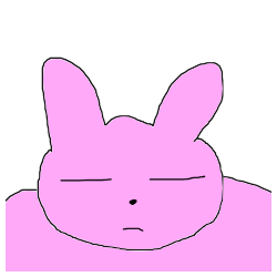 cute rabbit | Webudding