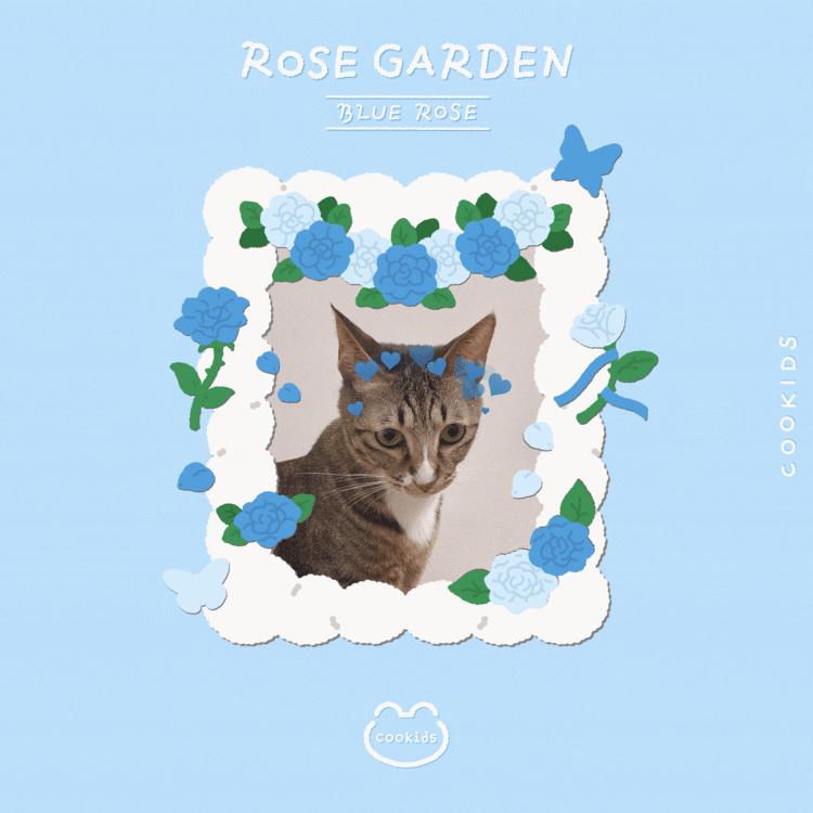 Rose garden sticker set | Webudding