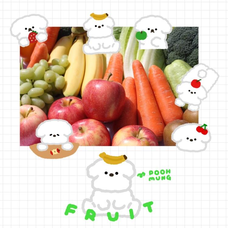 Cute poodle puppy with fruits sticker | Webudding