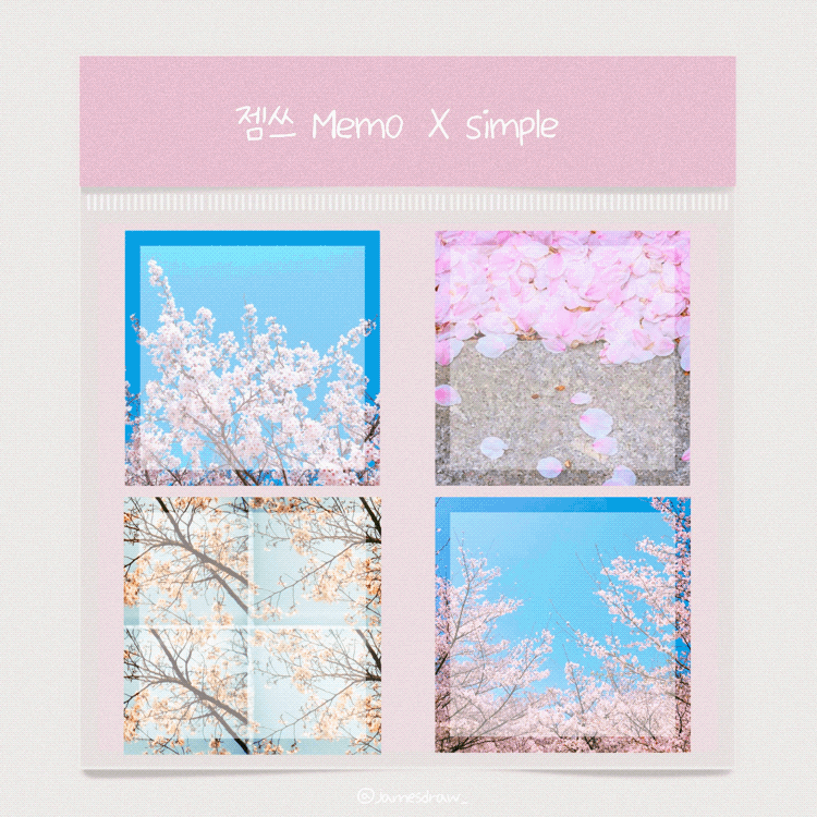 Simple X cherry blossom sticky note sticker 12set | Webudding