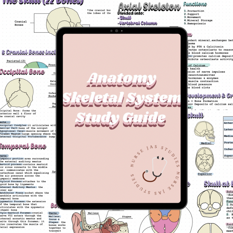 Human Anatomy | Skeletal Notes Study Guide | Webudding