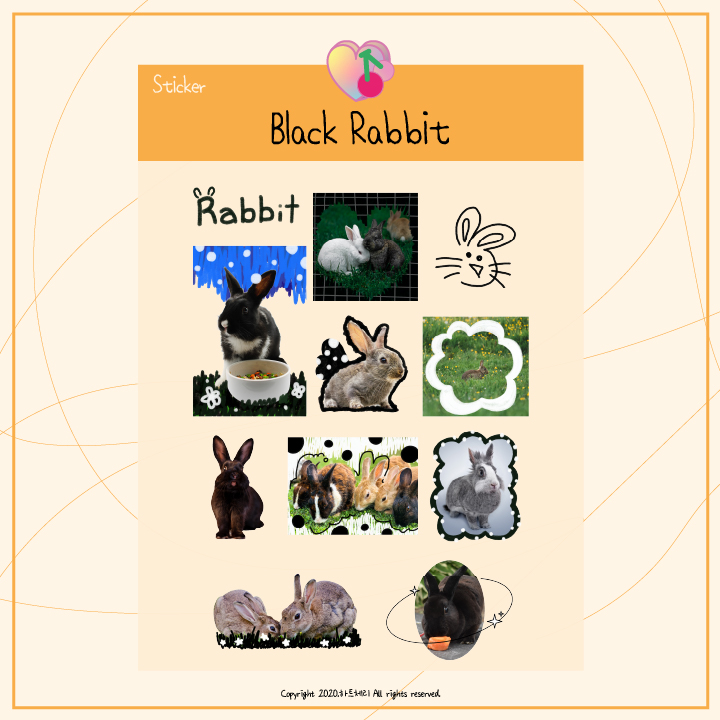 Animals Sticker #1.Black Rabbit | Webudding