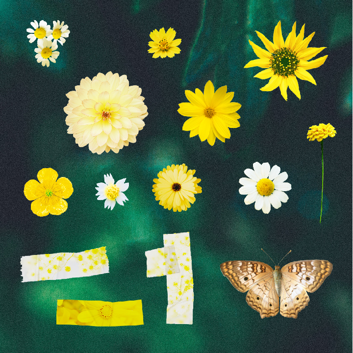 Yellow Flower Sticker | Webudding