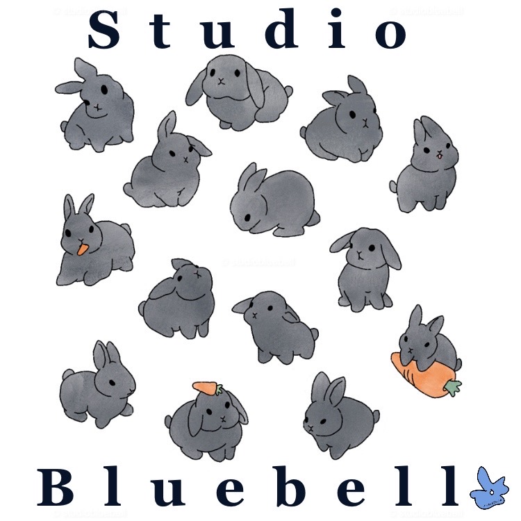 Black rabbit | Webudding