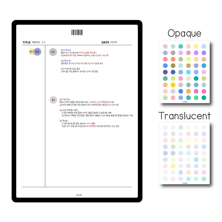 Circle Sticker (2types) | Webudding
