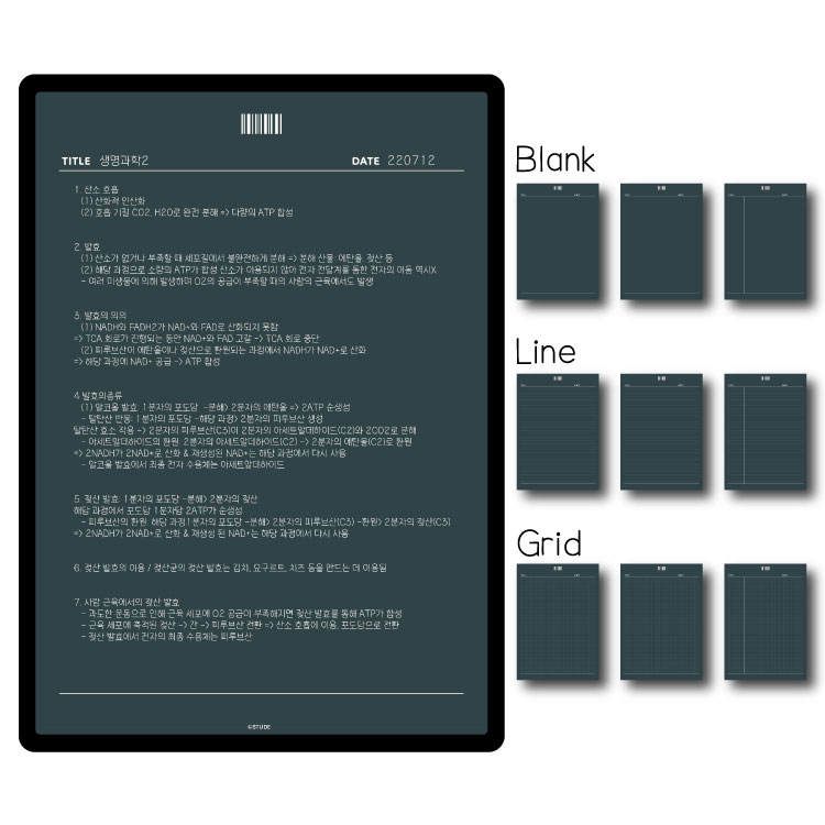 Notepad1 Deepgreen (9types) | Webudding