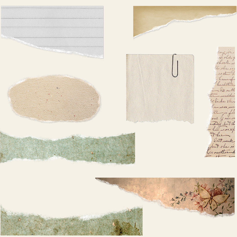 WeBudding | Where your great journey begins