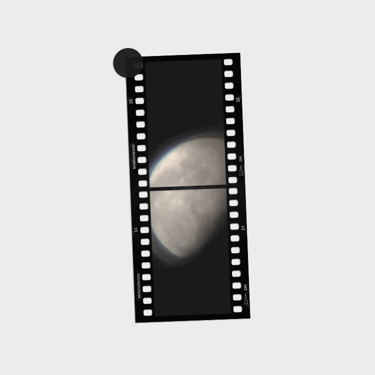 Moment Stickers Bundle Package (4 Styles) | Webudding