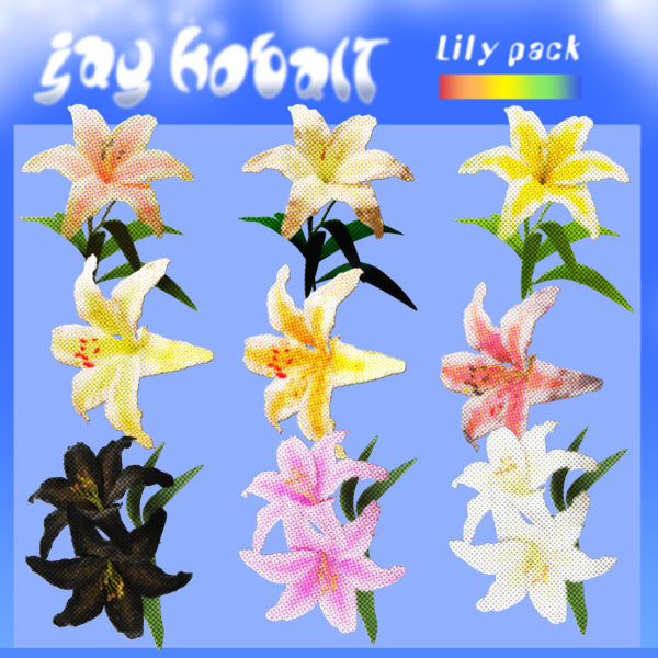 Lily Pack | Webudding