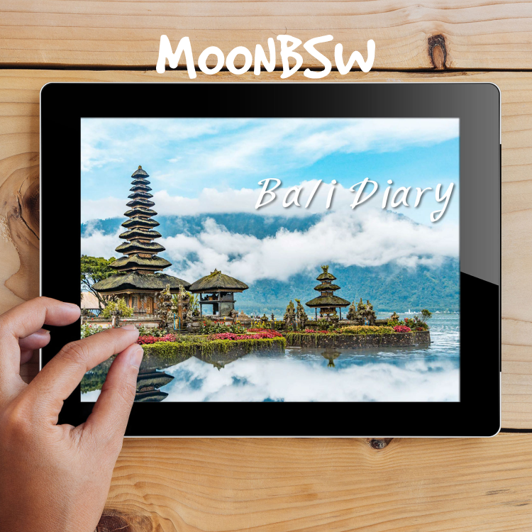 Bali Diary | Webudding