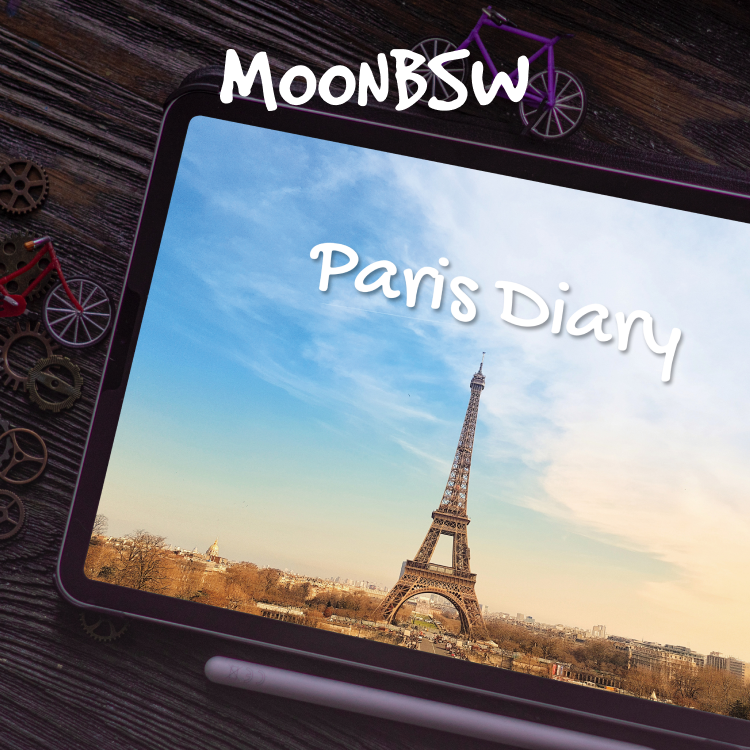 Paris Diary | Webudding