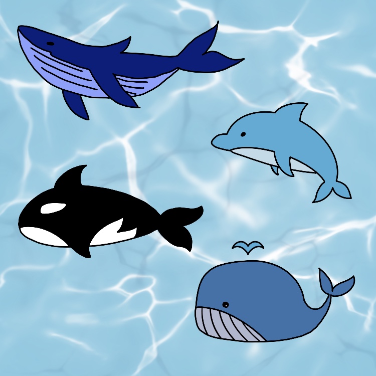 whale sticker | Webudding