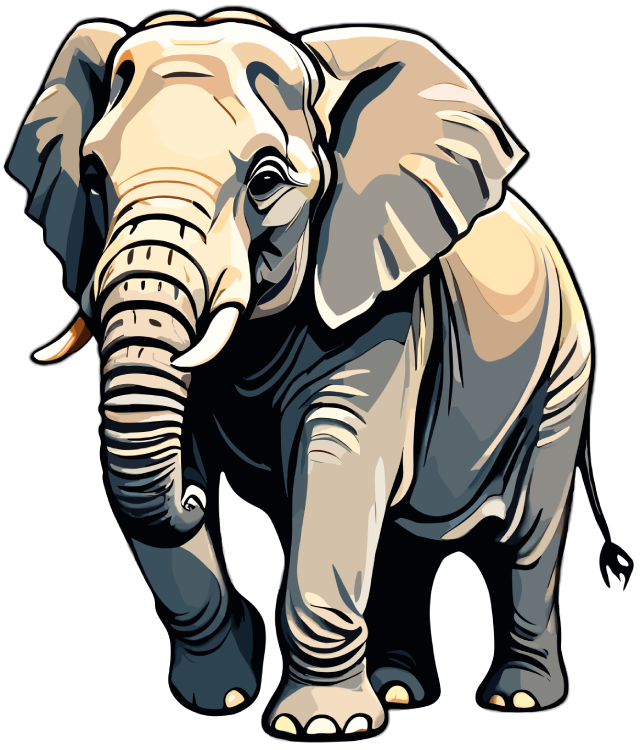 Elephant | Webudding