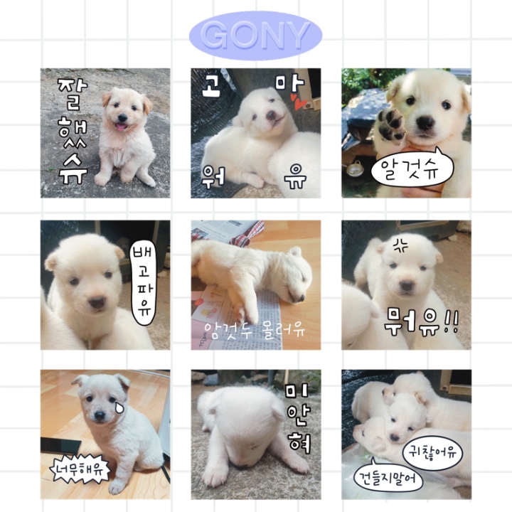 cute dog sticker | Webudding