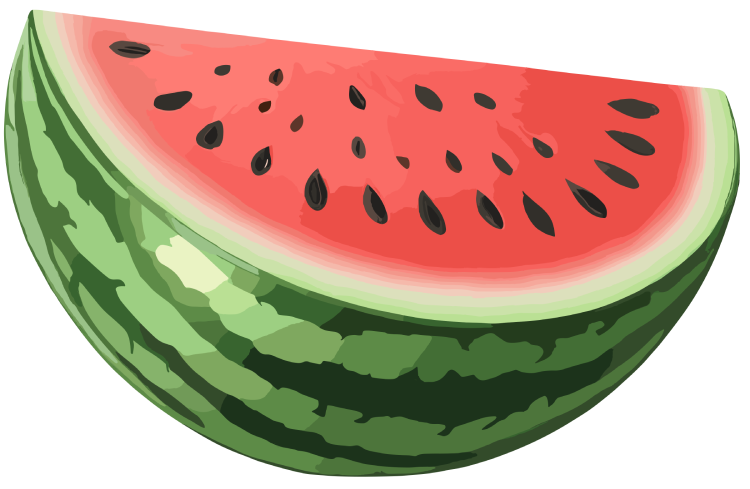 Watermelon | Webudding