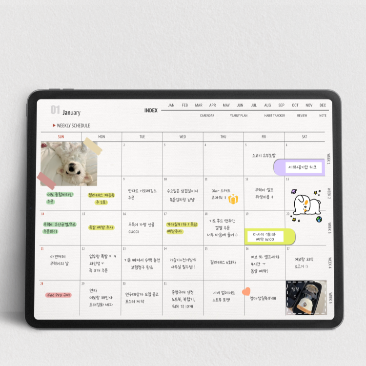 Good Note All-in-One Diary (White) Permanent Year | Webudding