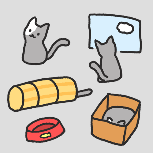 A Day of the Black bean cat | Webudding