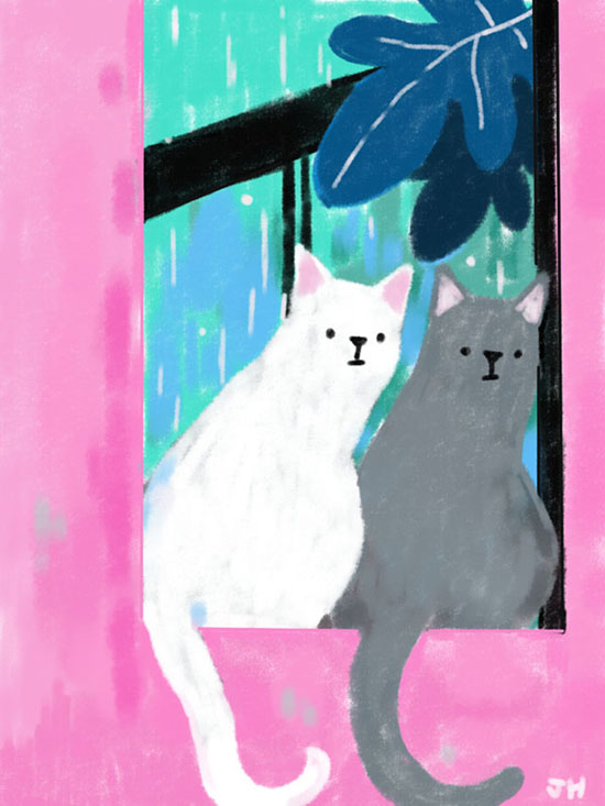 Cats on a rainy day | Webudding