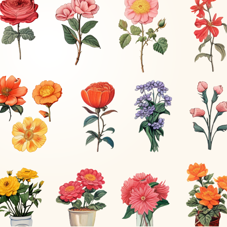 Flower Sticker Set | Webudding