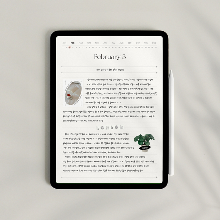 365 Diary | Webudding