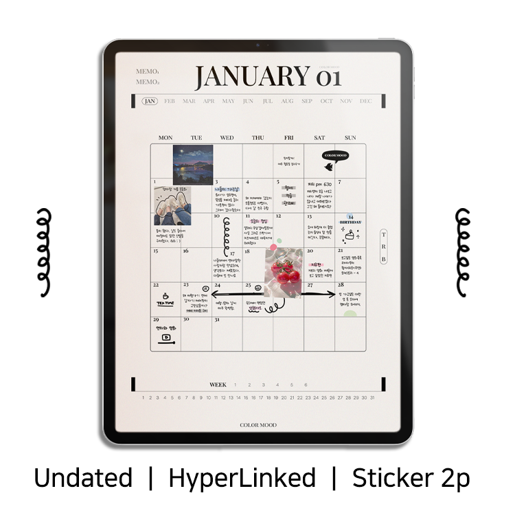 Color Mood (Undated Diary Planner, Sticker) | Webudding