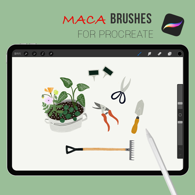 MACA BRUSHES for Procreate set | Webudding