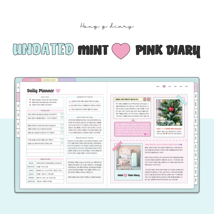 Undated Mint & Pink Diary | Webudding