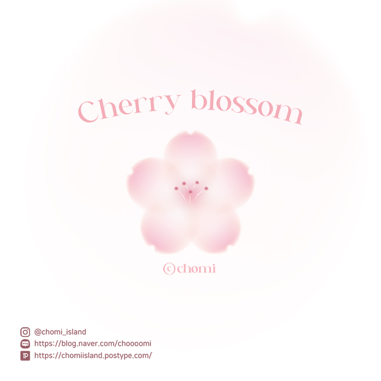 apk│CHOMI Cherry Blossom Kakao Talk Theme | Webudding