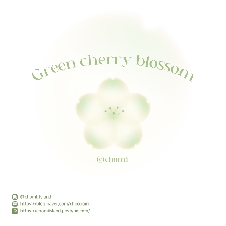 apk│CHOMI Green Cherry Blossom Kakao Talk theme | Webudding