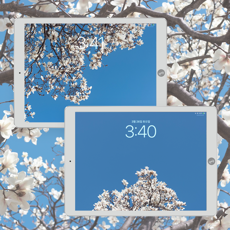 A white first encounter-Ipad Wallpapers | Webudding