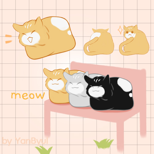 Cute Cat | Webudding