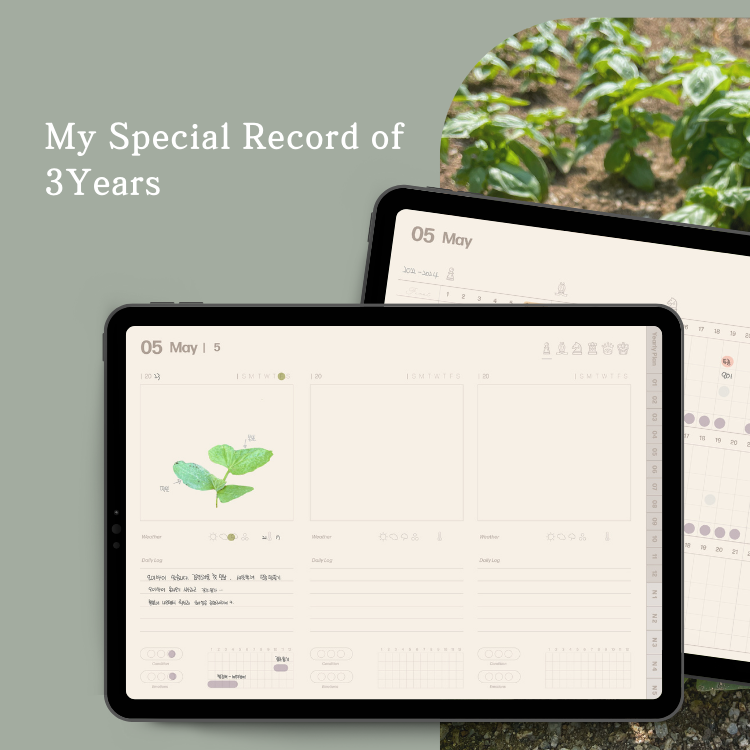 My Special Record of 3 Years | Webudding