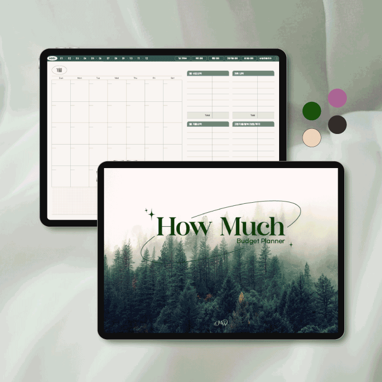 1Year How Much Budget Planner (4colors) | Webudding