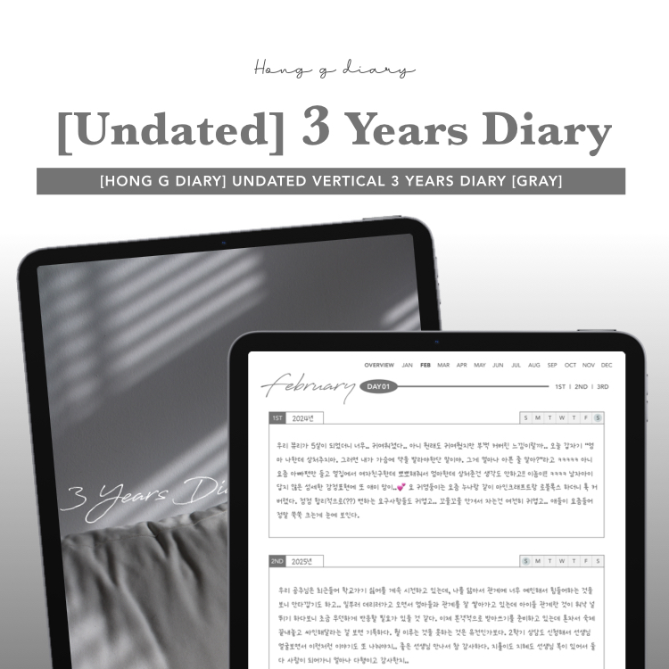 Undated 3 Years Diary [GRAY] | Webudding