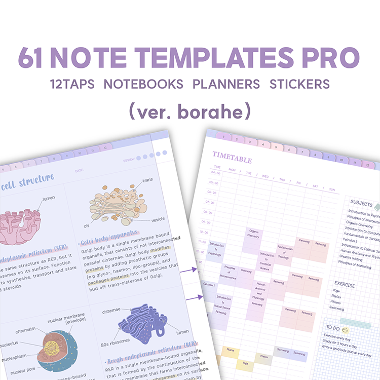 12 Chapters of 61 Note templates / ver. borahe (portrait) | Webudding