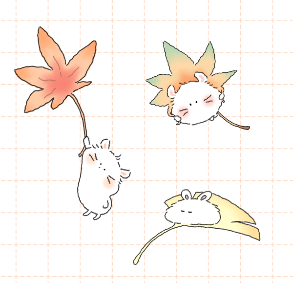 Bopuri fly in the fall foliage | Webudding