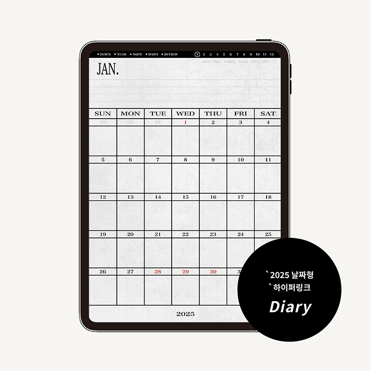 2025 retro diary black edition | Webudding