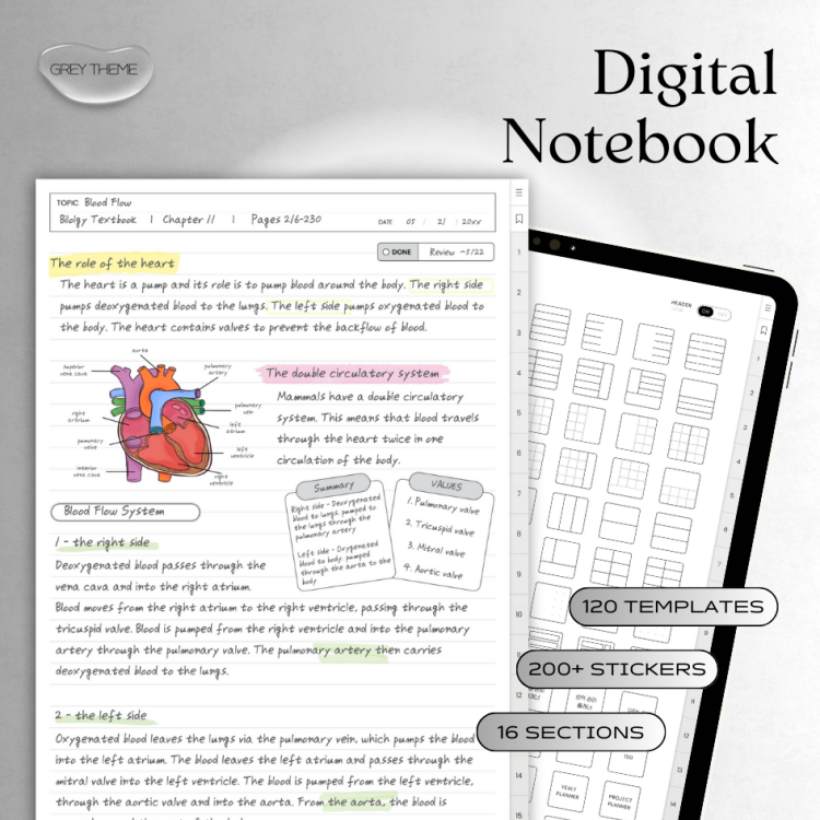 Minimal Digital Notebook, Hyperlinked Notetaking Templates, Student ...