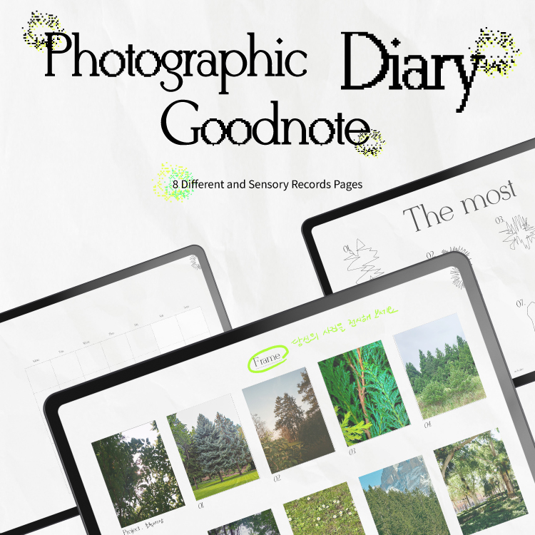 My 1st year in pictures! Goodnote Diary! | Webudding