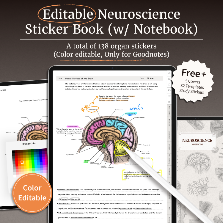 Editable Neuroscience Sticker Book (w/ Notebook) | Webudding