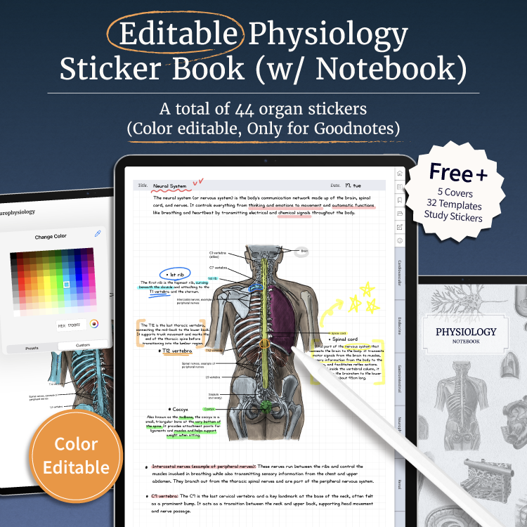 Editable Physiology Sticker Book (w/ Notebook) | Webudding