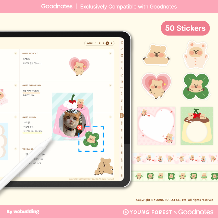 Young Forest Lovely BABY KKOTKA Sticker Pack | Webudding