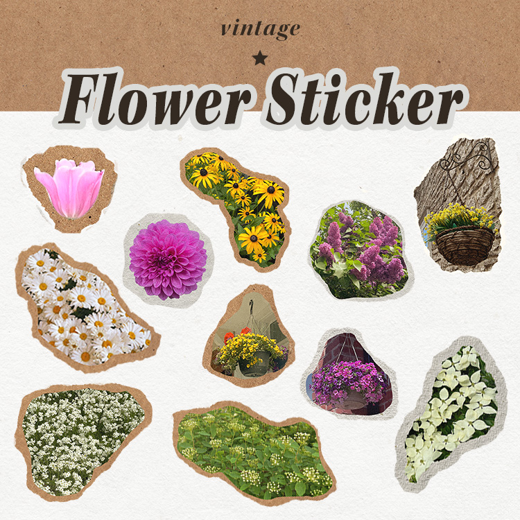 Vintage Flower Sticker | Webudding