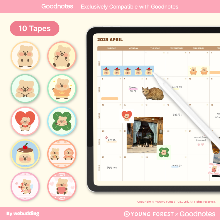 Young Forest BABY KKOTKA Washi Tape | Webudding