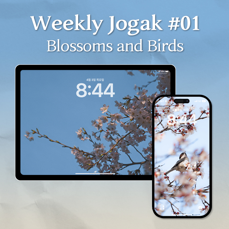 Weekly Jogak #01 Blossoms and Birds: Wallpaper Pack | Webudding
