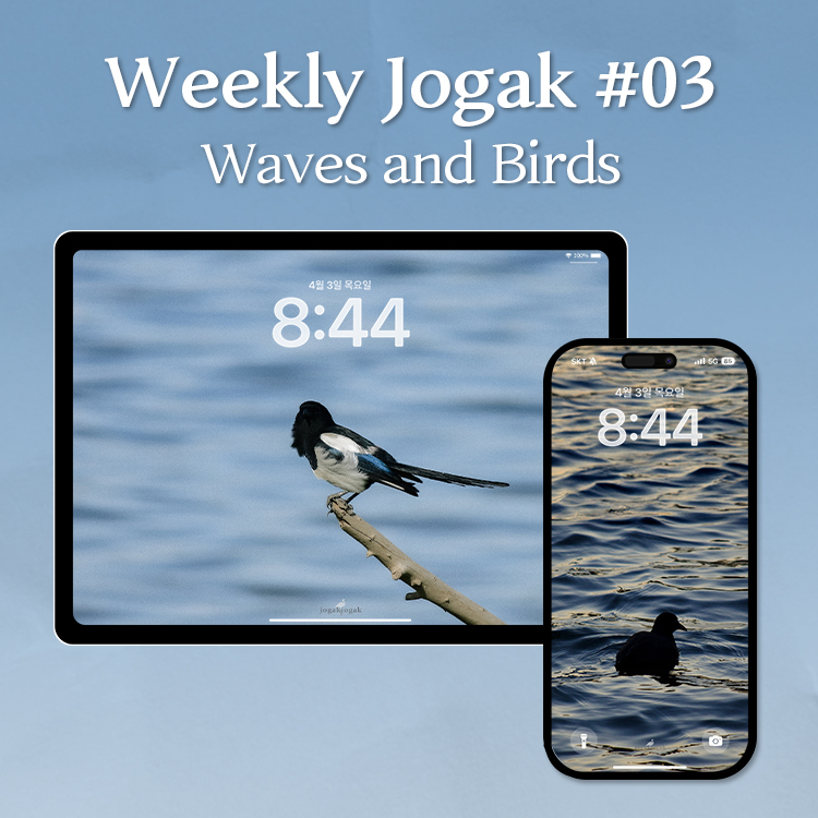 Weekly Jogak #03 Waves and Birds: Wallpaper Pack | Webudding