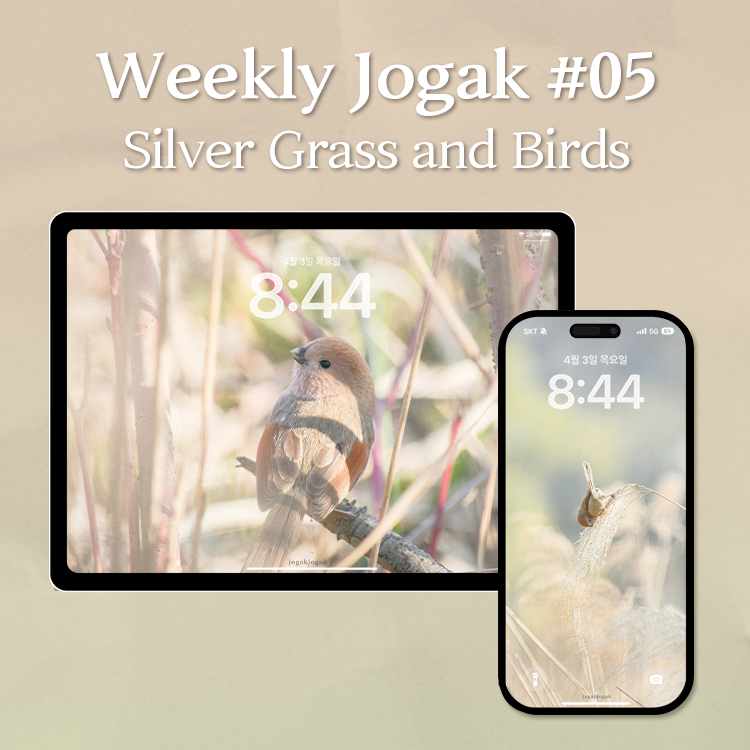 Weekly Jogak #05 Silver Grass and Birds: Wallpaper Pack | Webudding