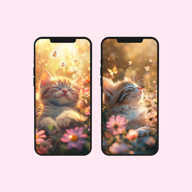 Cutie cat smartphone wallpaper | Webudding